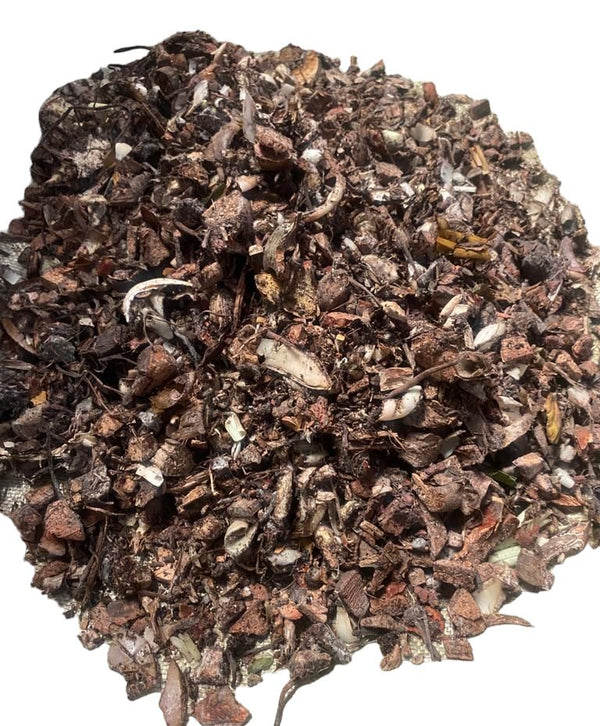 Intelezi Yesichitho – Amakhambi Esintu